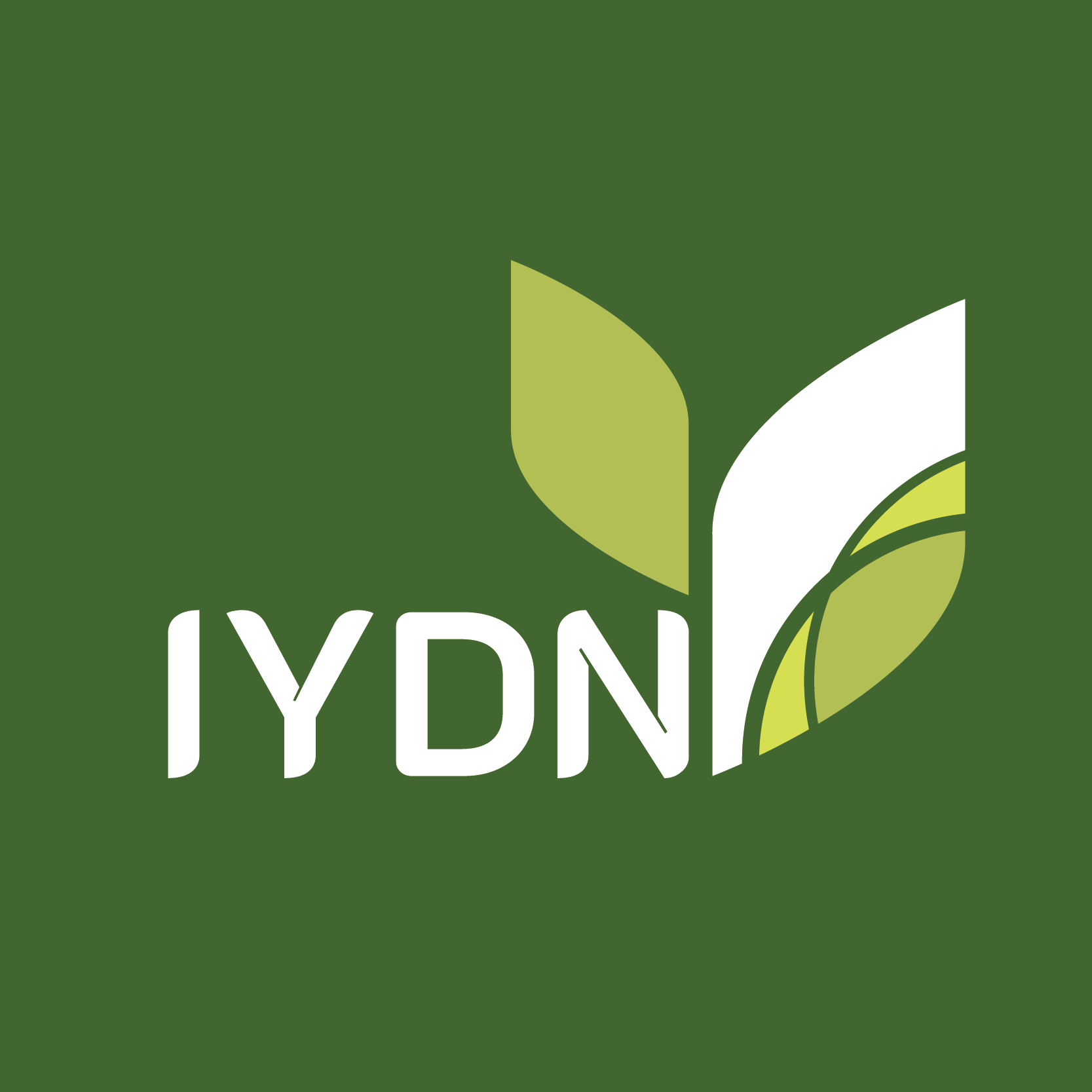 Our team - IYDN
